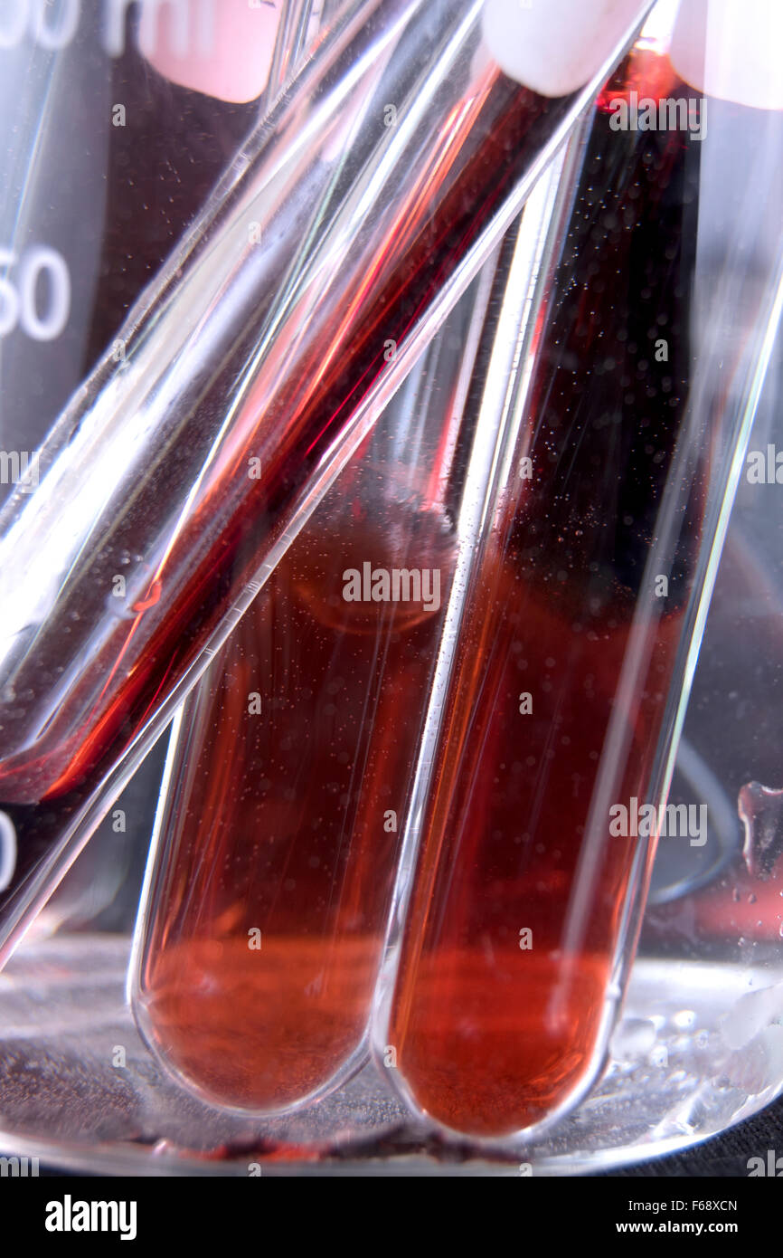 test tubes with blood in beaker Stock Photo - Alamy
