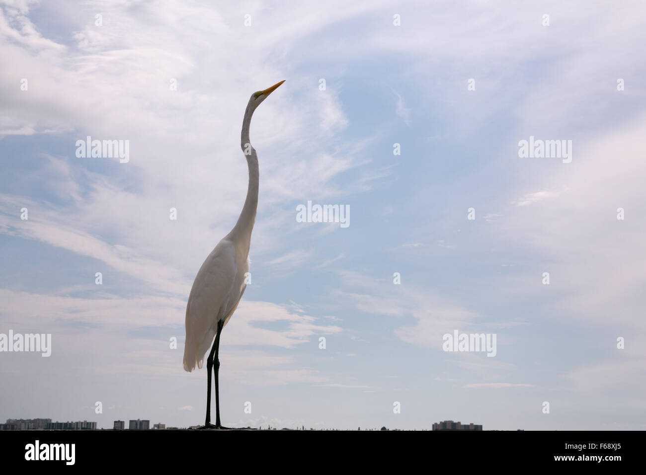 Dunedin florida hi-res stock photography and images - Alamy