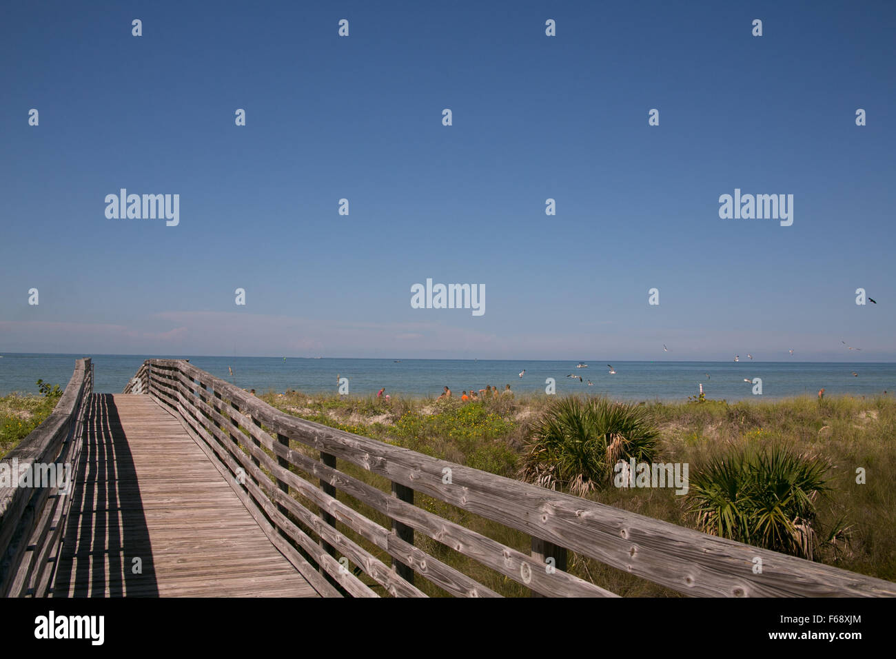 A wooden walkway to the beach on Honeymoon Island state park, Florida ...