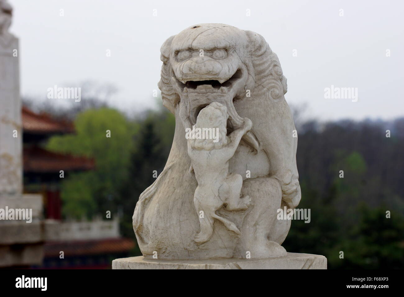 Chinese guardian lions, Imperial guardian lions, Shi, Foo Dog, Fu Dog ...