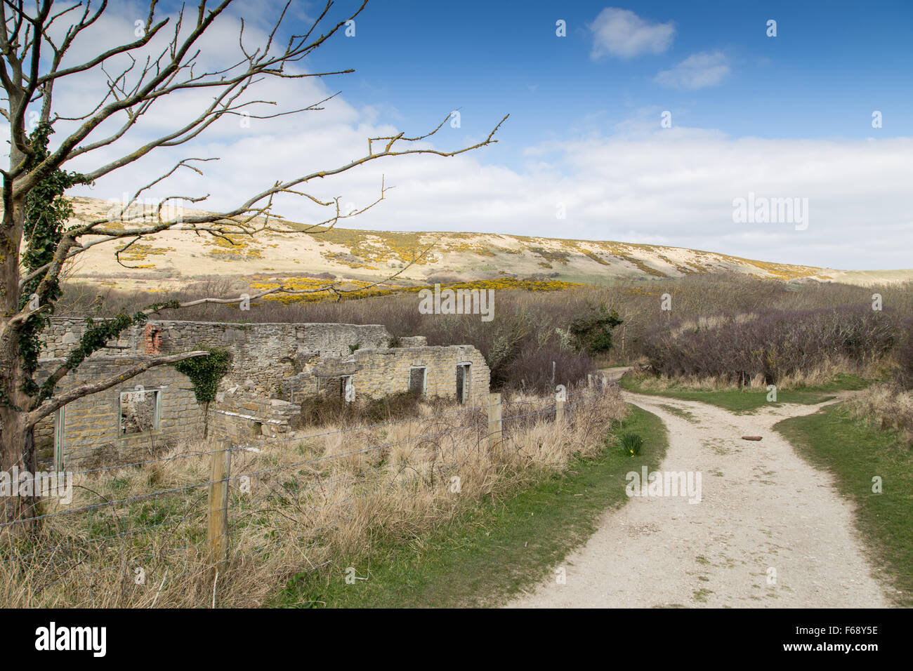 Lulworth ranges hi-res stock photography and images - Alamy
