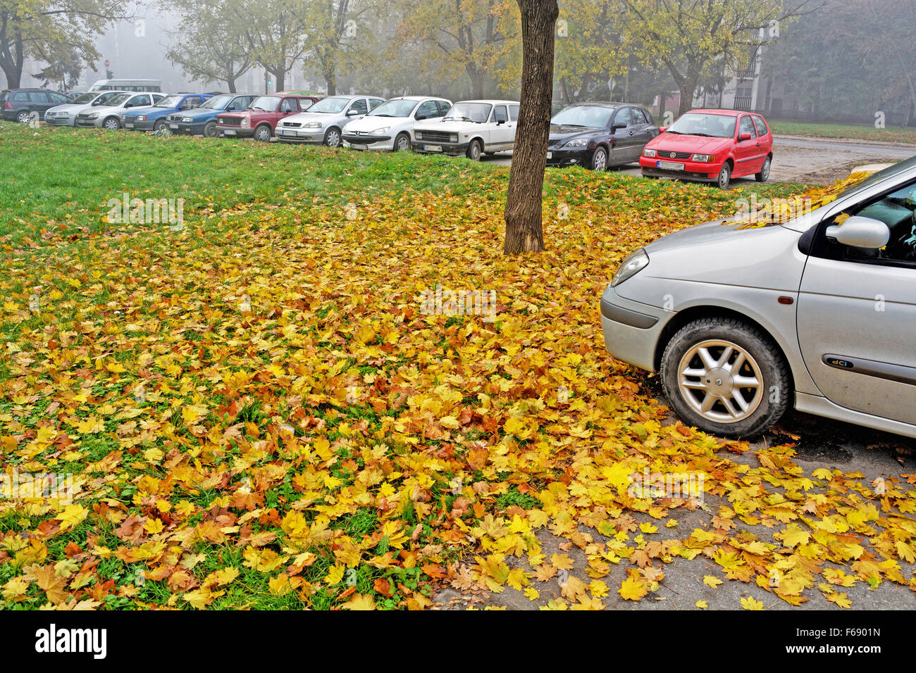 Parking lot with cars and autumn fog and leaves the country Stock Photo ...