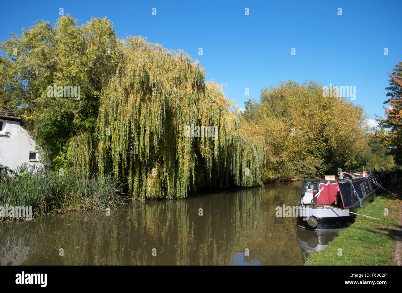 Leighton Buzzard Grand Canal Narrow Boat Bedfordshire England Stock ...