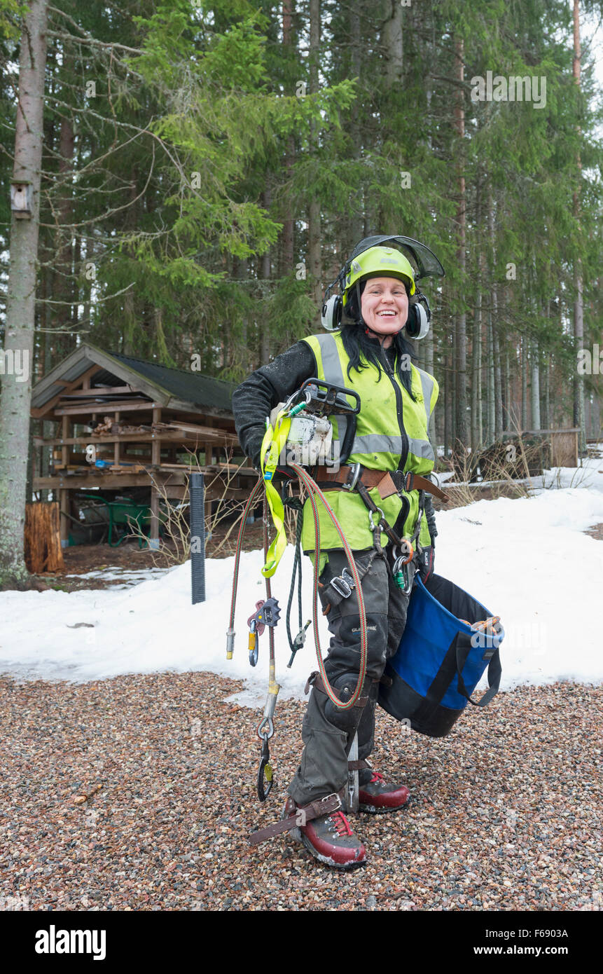 Arborists taking down trees Stock Photo - Alamy