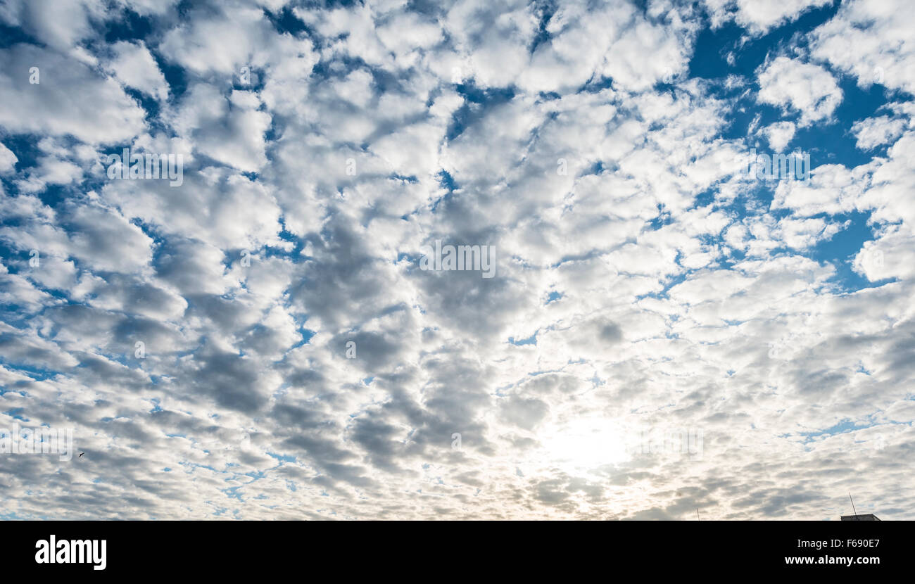 Cloud cover, blue sky Stock Photo - Alamy