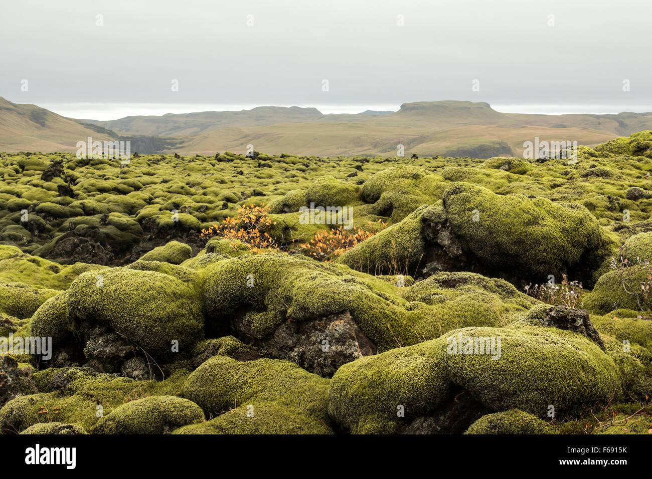 Eldhraun Lava Field, Iceland Stock Photo - Alamy