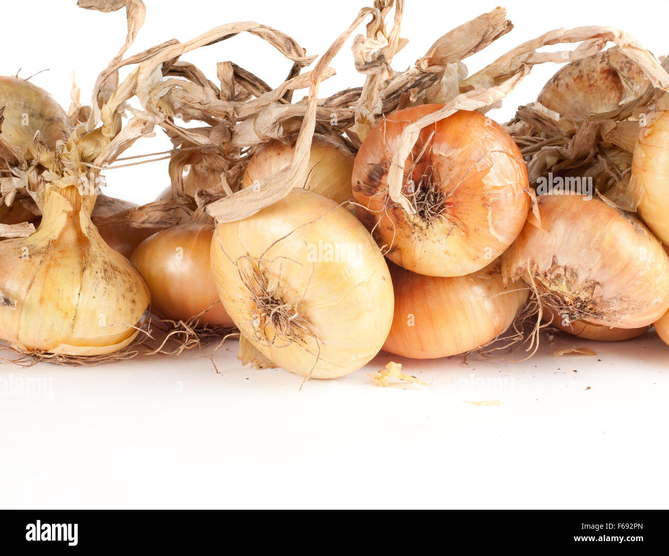 Group of onions Stock Photo - Alamy