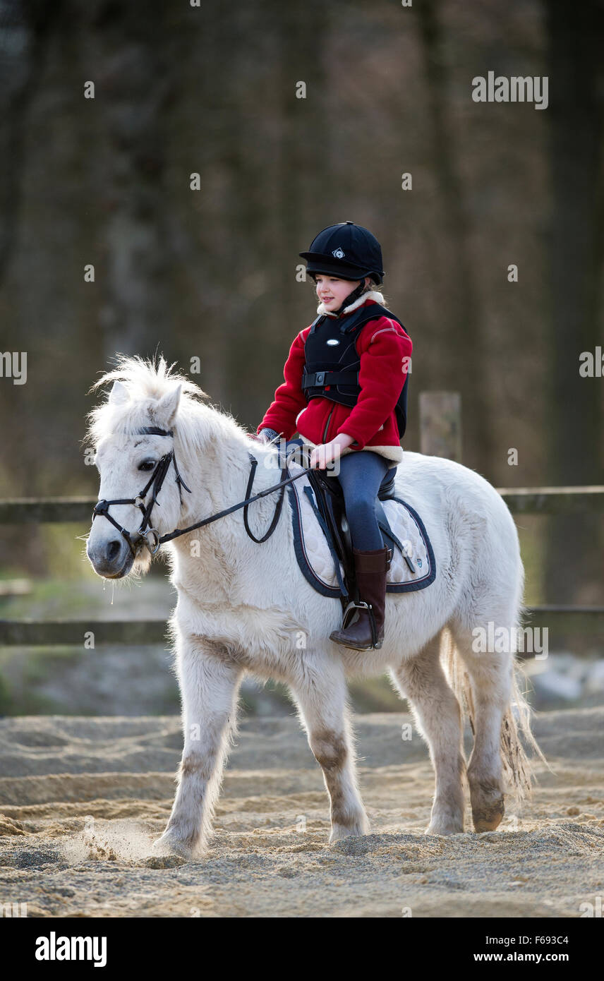 A young girl jumps a fence riding a pony in a stable yard in Hampshire ...