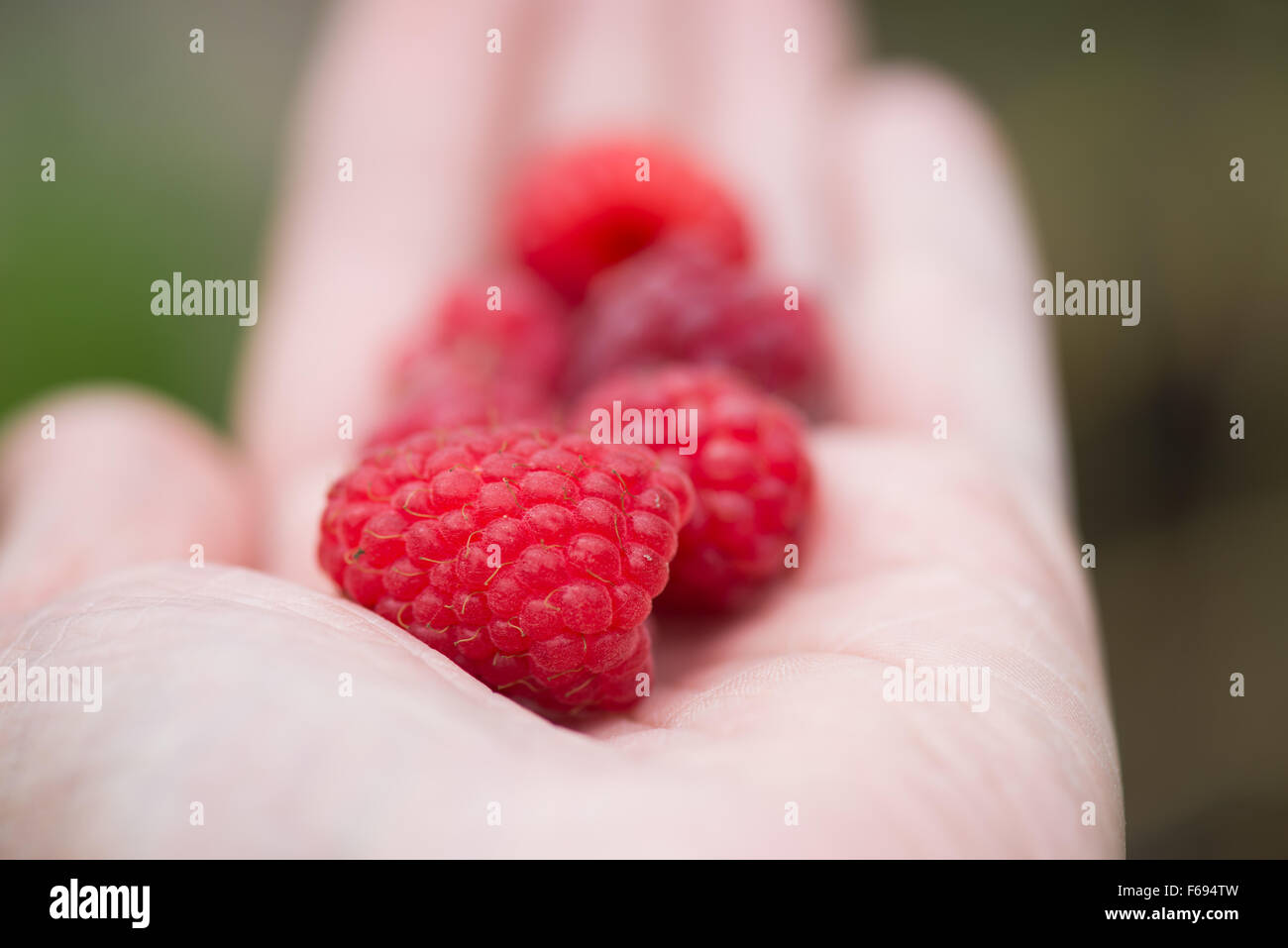 Giving the raspberry hi-res stock photography and images - Alamy