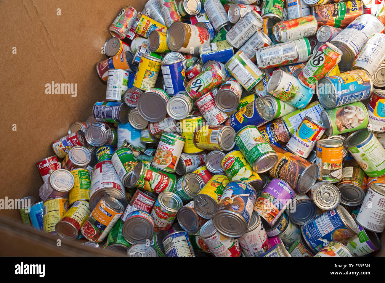 Canned Food Drive Logo