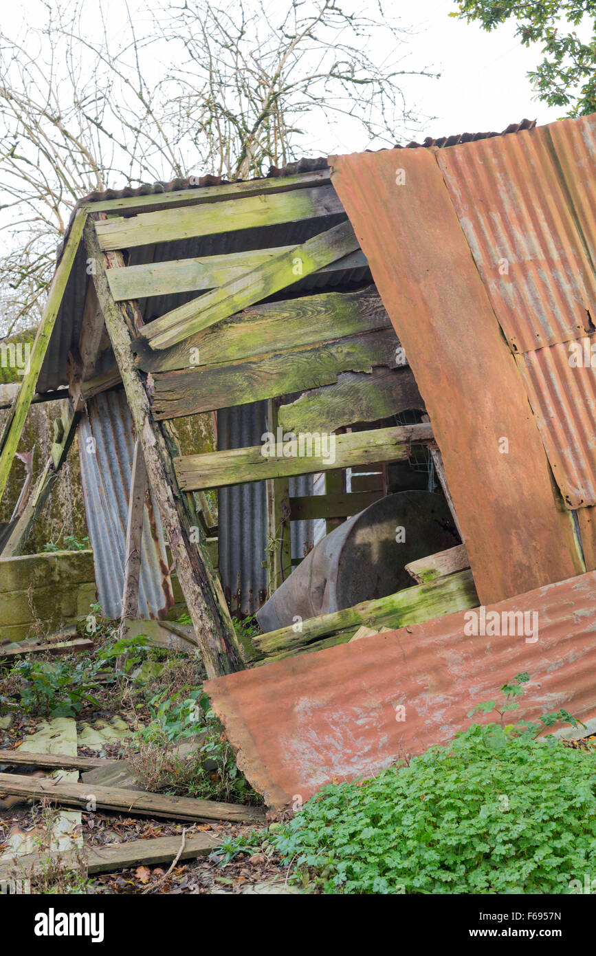 Collapsed and ramshackle shed with roof of rusty corrugated iron and ...