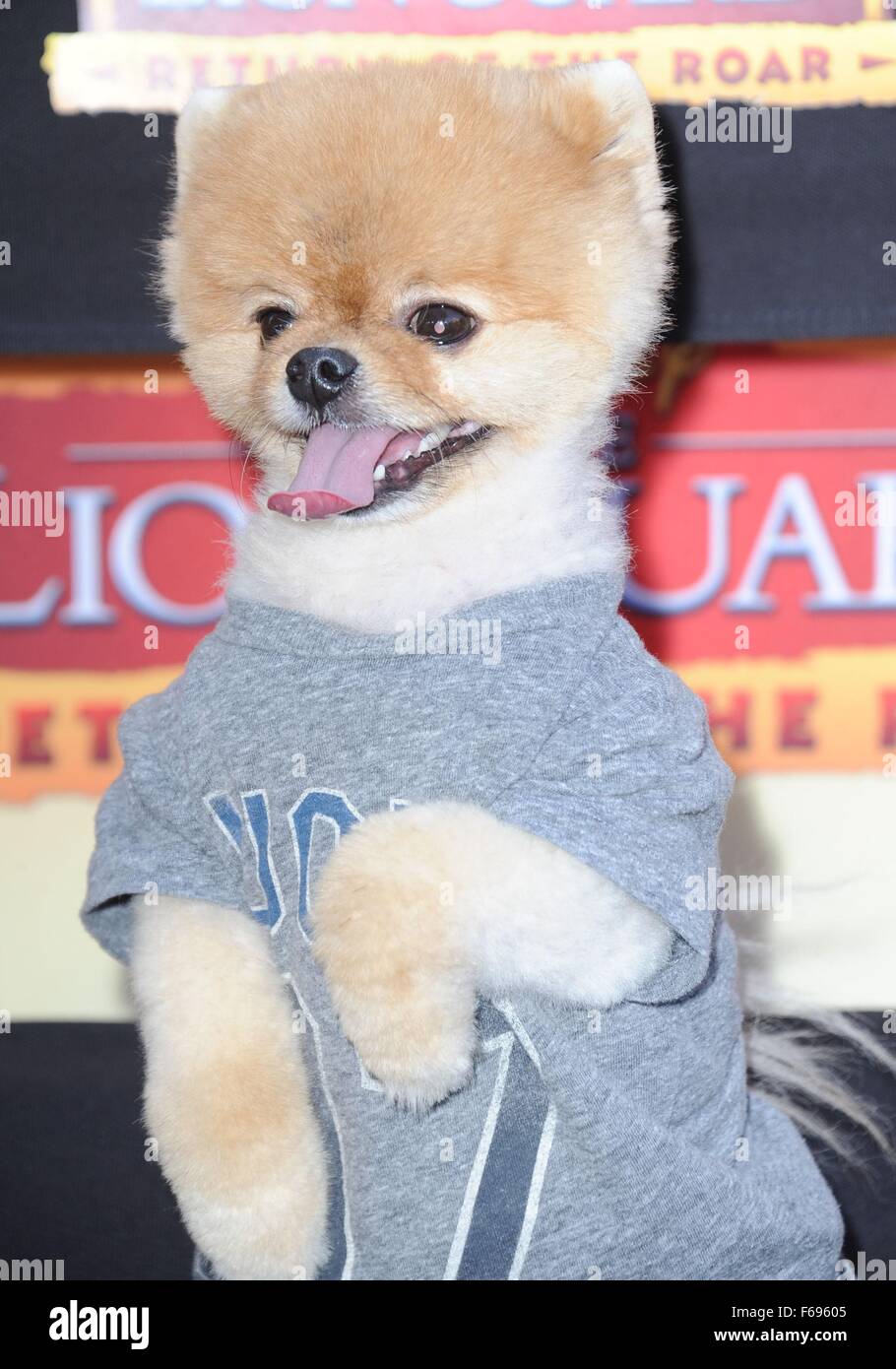 Walt disney studios main theatre hi-res stock photography and images - Alamy