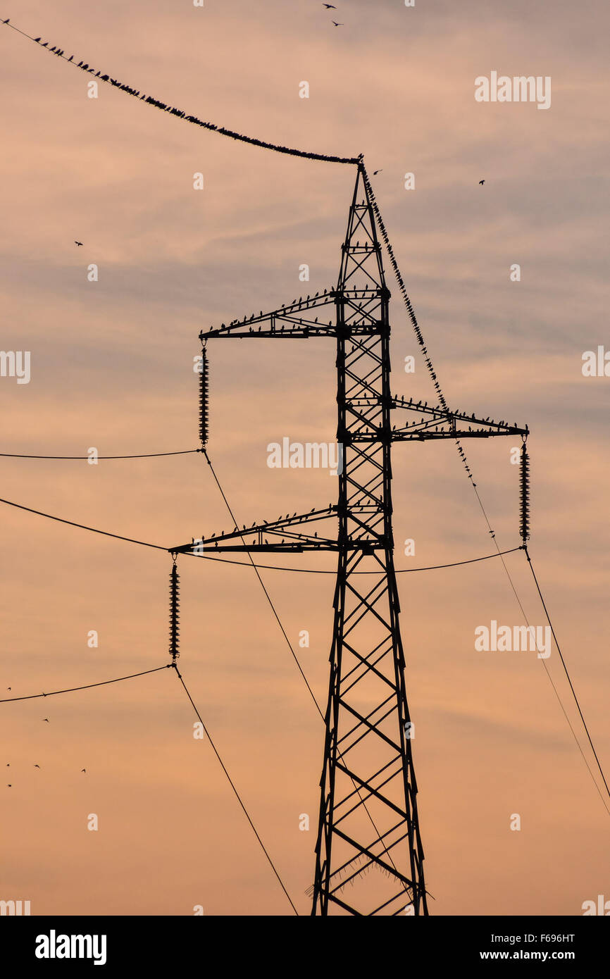 Electricity Pylon Pole Stock Photo - Alamy
