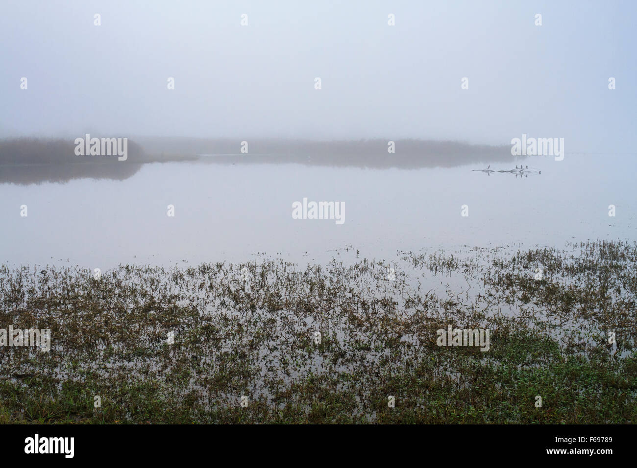 Lake hula israel hi-res stock photography and images - Alamy