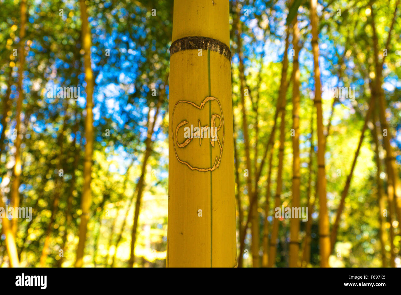Bamboo carving hi-res stock photography and images - Alamy