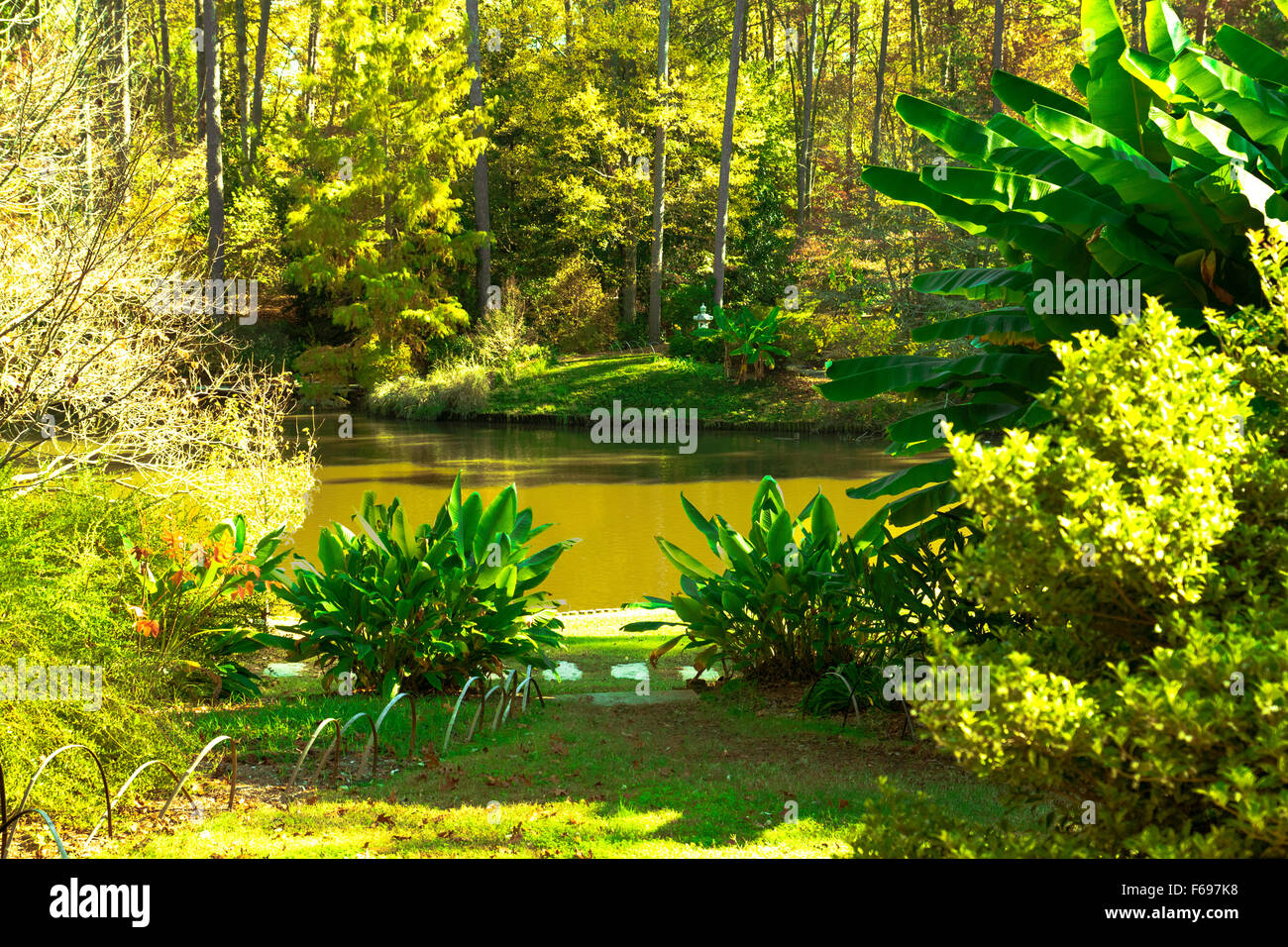 View of the pond on a sunny day Stock Photo - Alamy