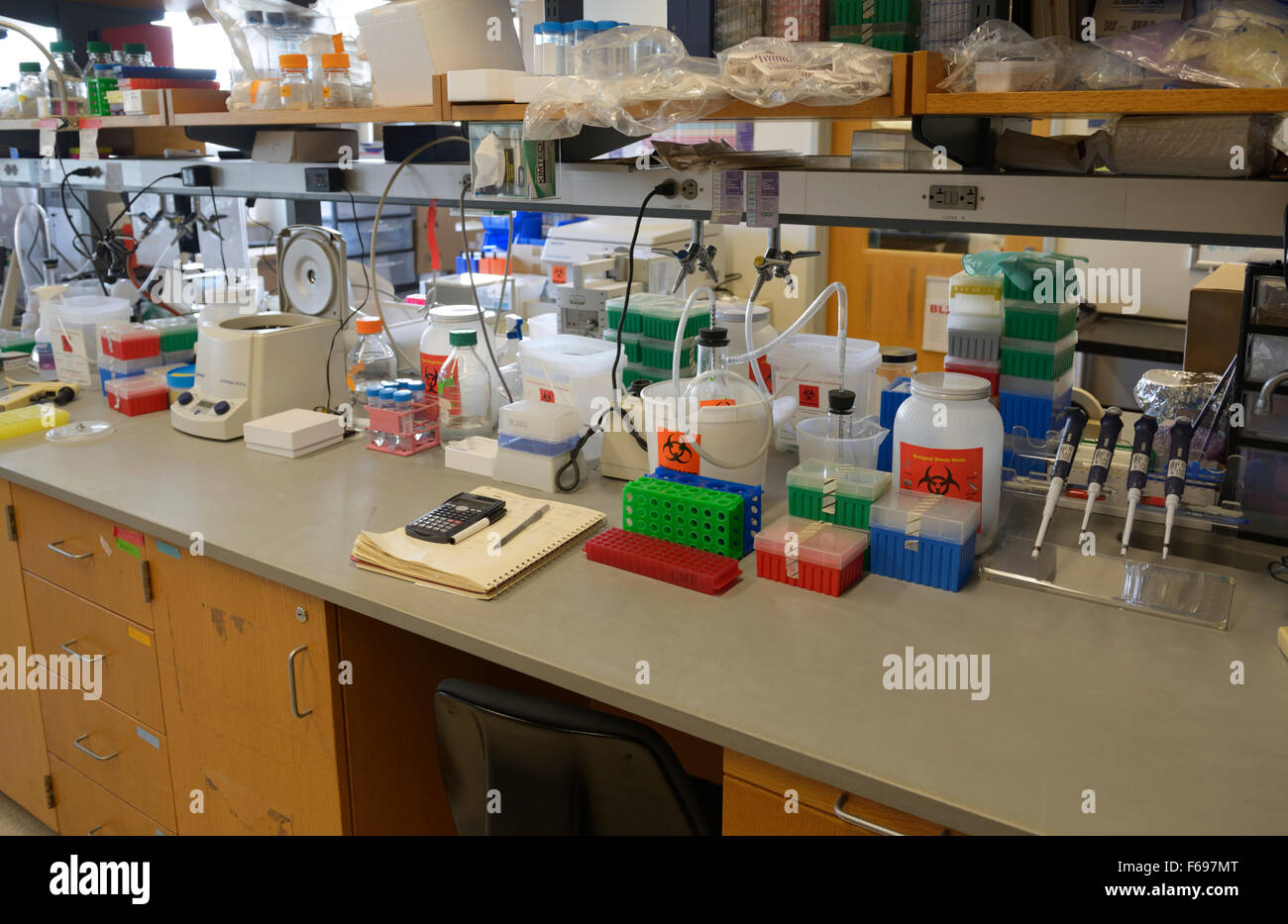 Biotechnology research lab, MIT Stock Photo - Alamy