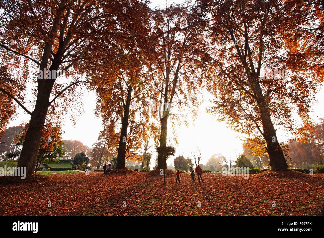 People walk past majestic chinar trees at Mughal Nishat Garden in ...
