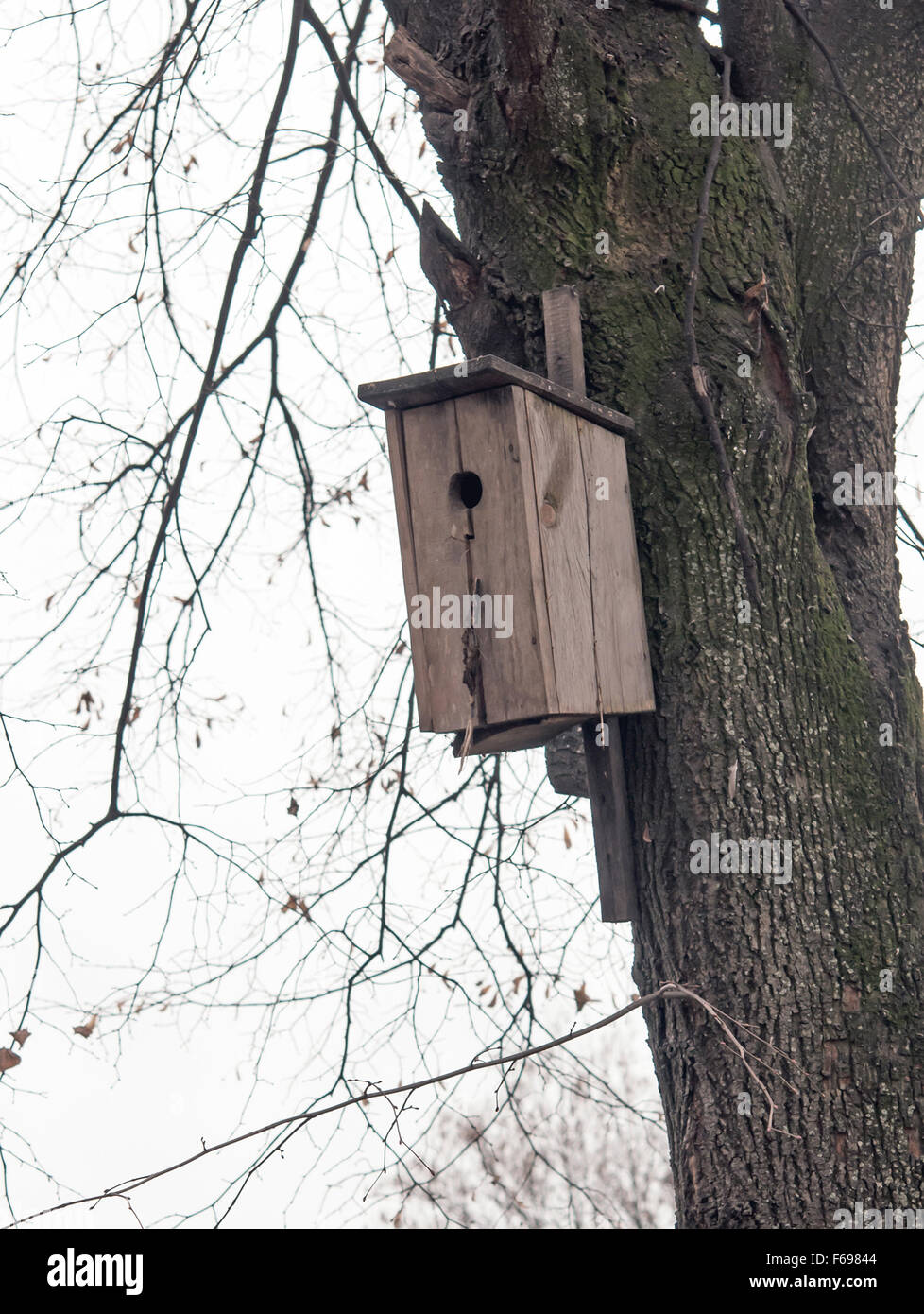 wooden Birdhouse on Tree Stock Photo - Alamy