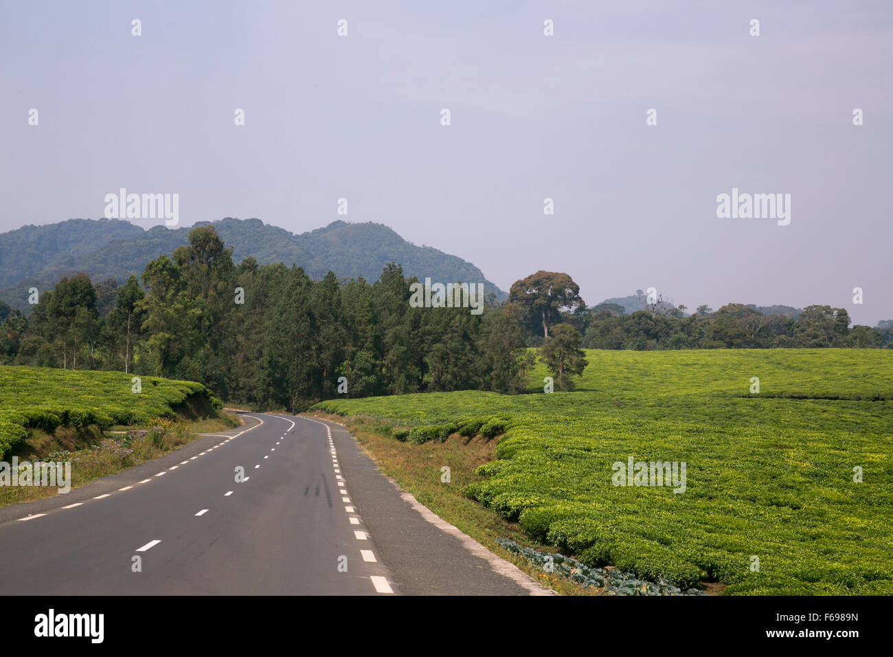 Country side in Rwanda Stock Photo - Alamy
