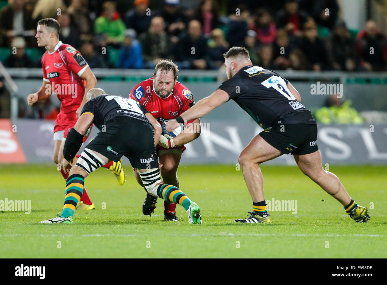 Frankin Gardens, Northampton, UK. 14th Nov, 2015. European Rugby ...