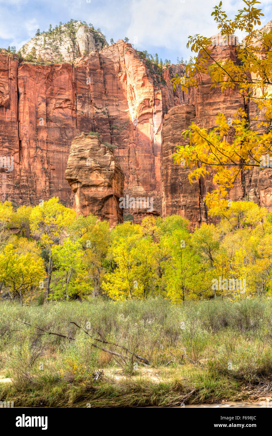 An Autumn afternoon in the Zion Canyon amphitheater known as the Temple ...