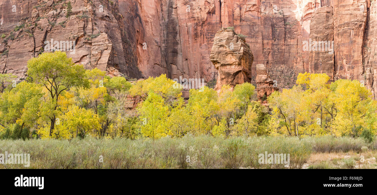 An Autumn afternoon in the Zion Canyon amphitheater known as the Temple ...