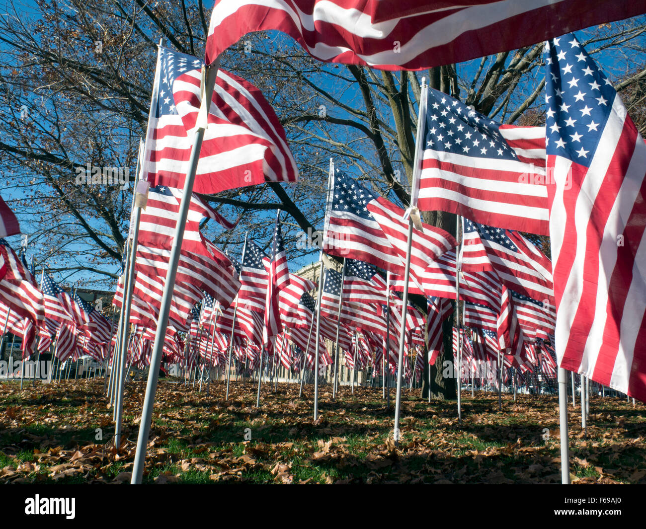 Rows of flags honoring US Veterans stand on display at Park Square in ...
