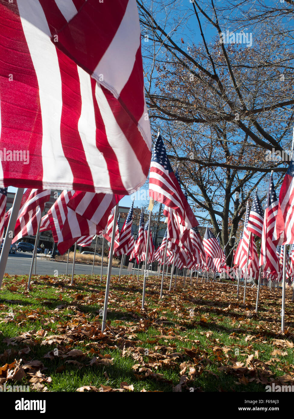 Rows of flags honoring US Veterans stand on display at Park Square in ...