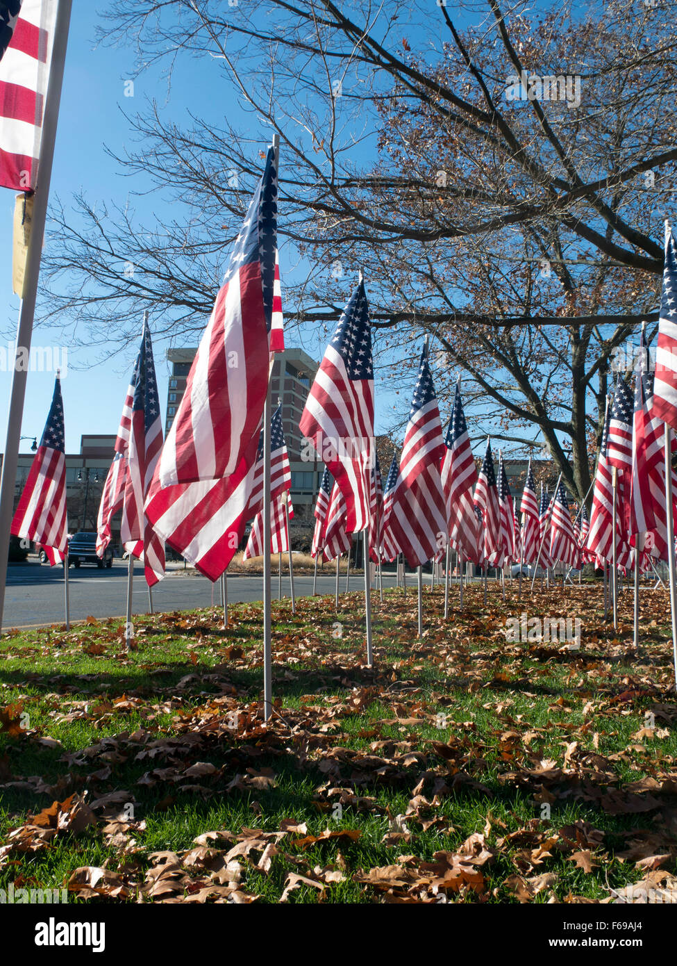 Rows of flags honoring US Veterans stand on display at Park Square in ...