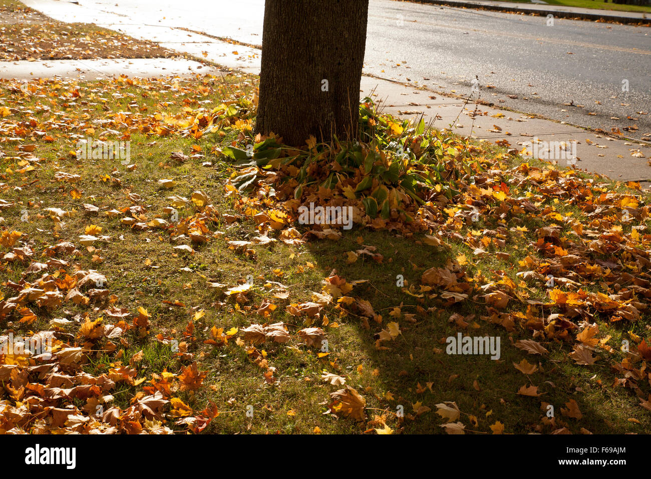 Grass in front street hi-res stock photography and images - Alamy