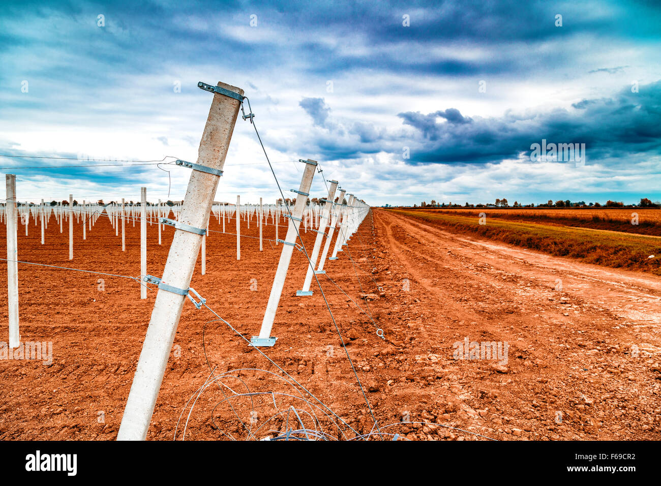 rows of precast concrete white poles driven into the ground to support ...