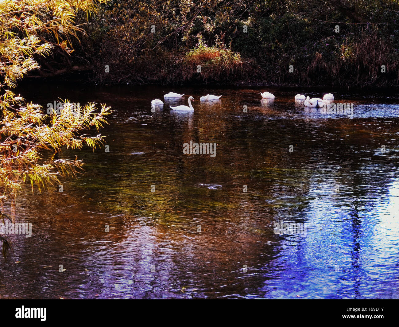 Breinton springs hi-res stock photography and images - Alamy