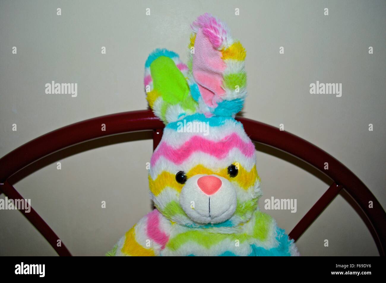 Colorful teddy bear Stock Photo - Alamy