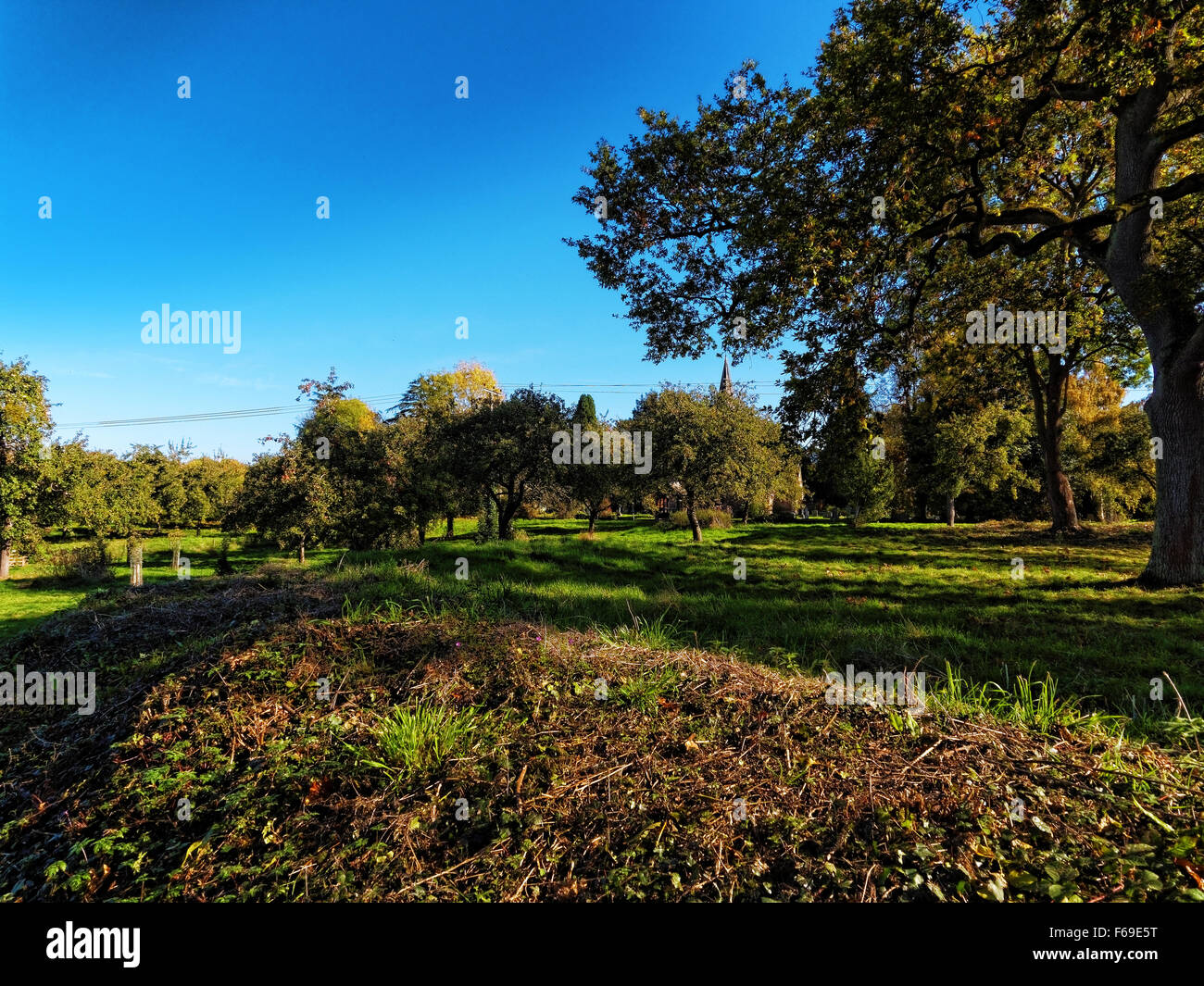 An earthwork thought to house a medieval village at Breinton parish ...