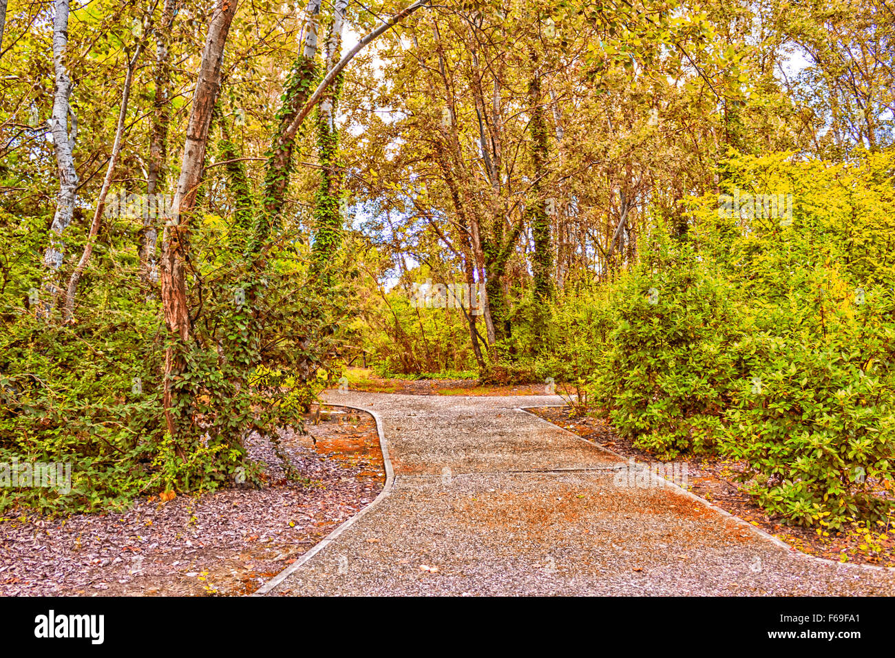 Walk path through green trees and bushes in the natural reserve "Parco ...