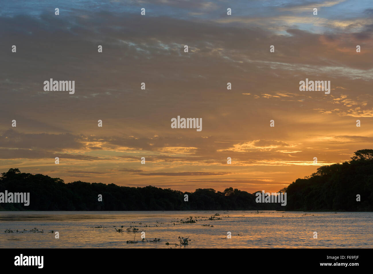 Rio piquiri hi-res stock photography and images - Alamy