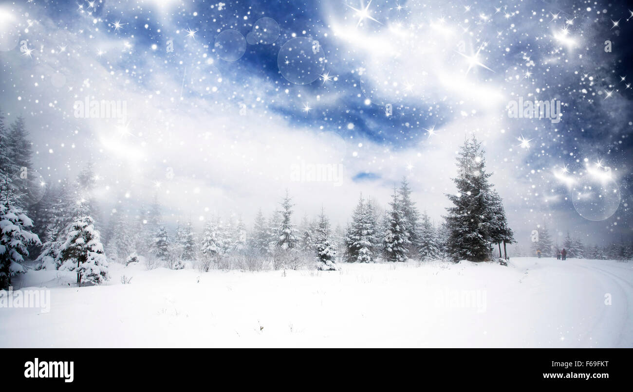 Christmas background with snowy pine forest Stock Photo - Alamy