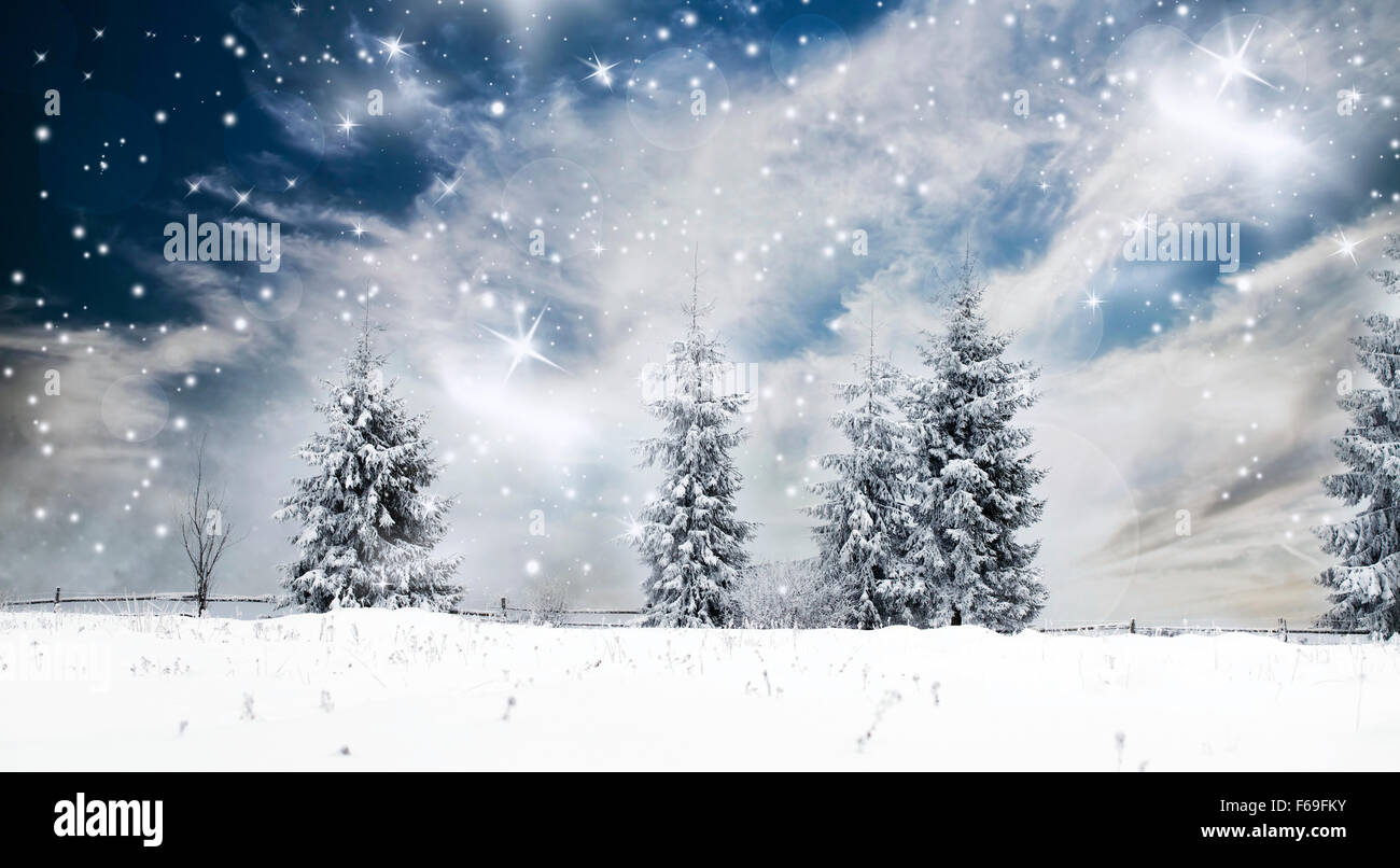 Christmas background with snowy pine forest Stock Photo - Alamy
