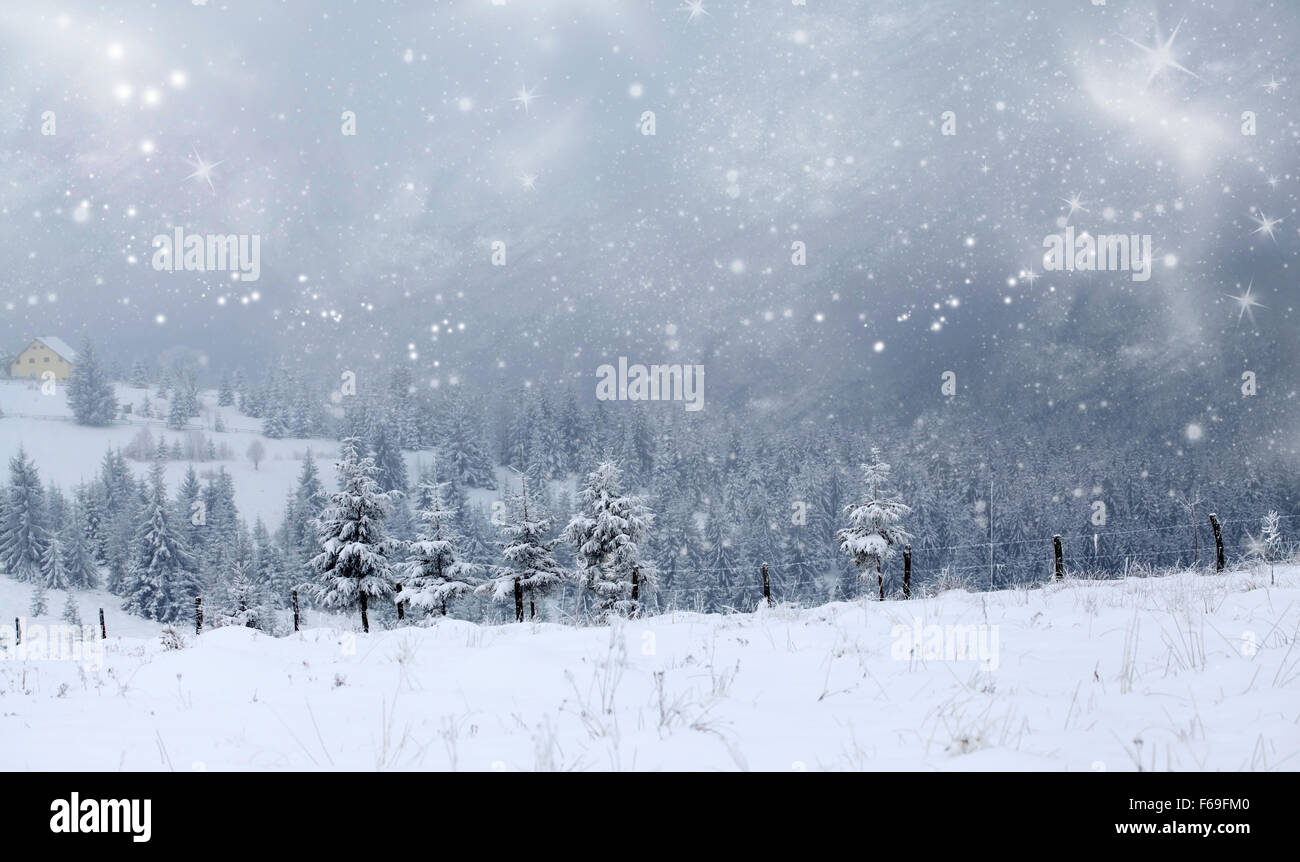Christmas background with snowy pine forest Stock Photo - Alamy