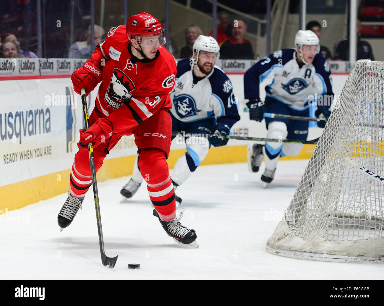 Charlotte Checkers Forward David Wohlberg (38) during the AHL game ...