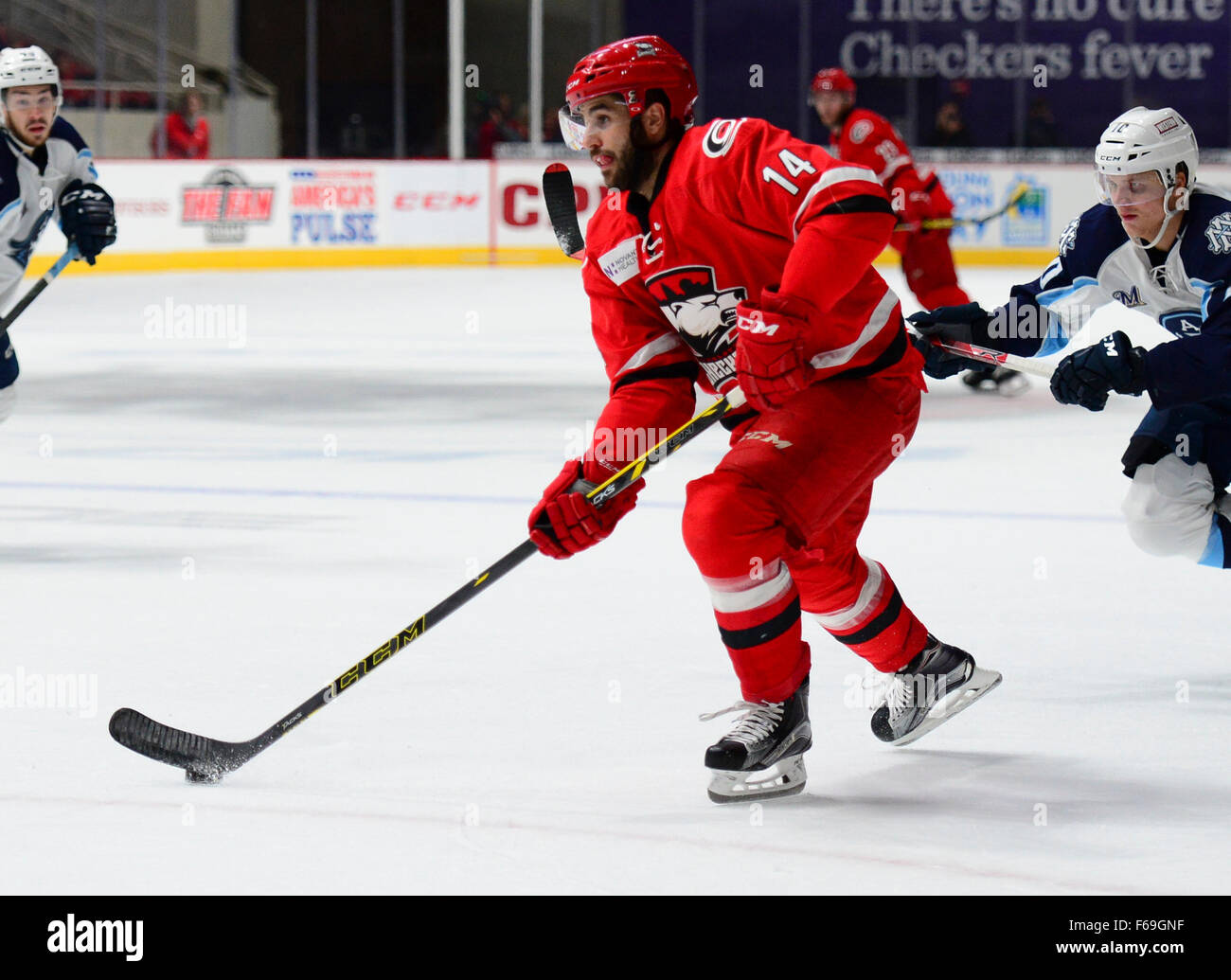 Charlotte Checkers Forward Justin Shugg (14) during the AHL game ...
