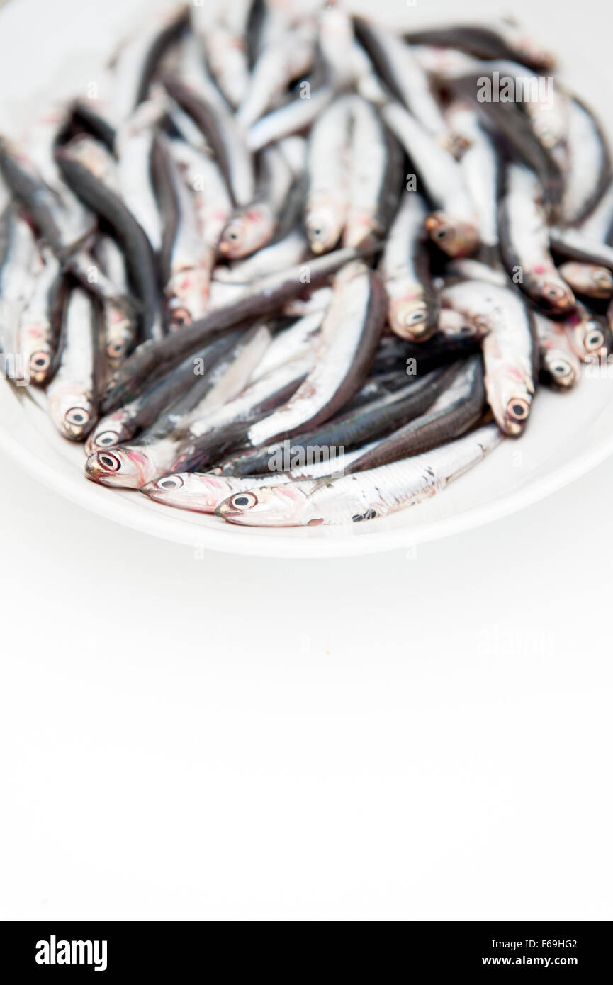 White plate full of many fresh raw anchovy on white background ...