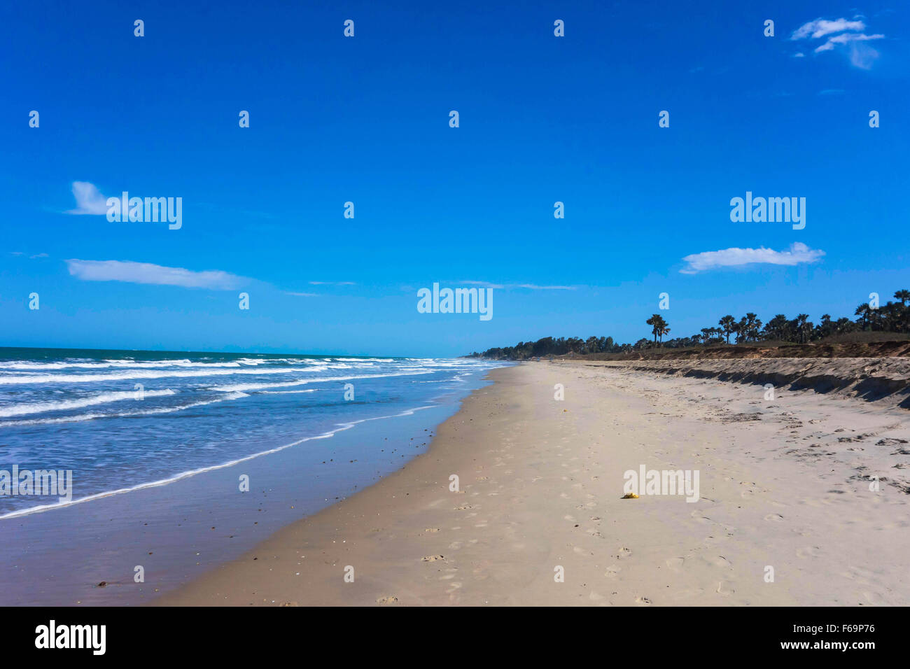 The great expance of Kololi beach Gambia west Africa Stock Photo - Alamy