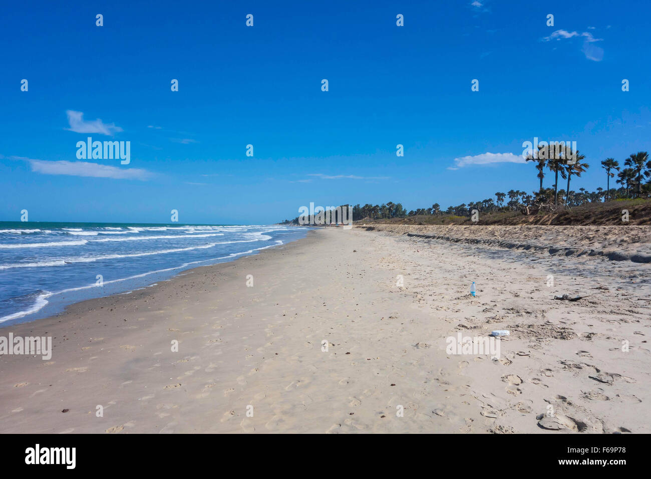 The great expance of Kololi beach Gambia west Africa Stock Photo - Alamy