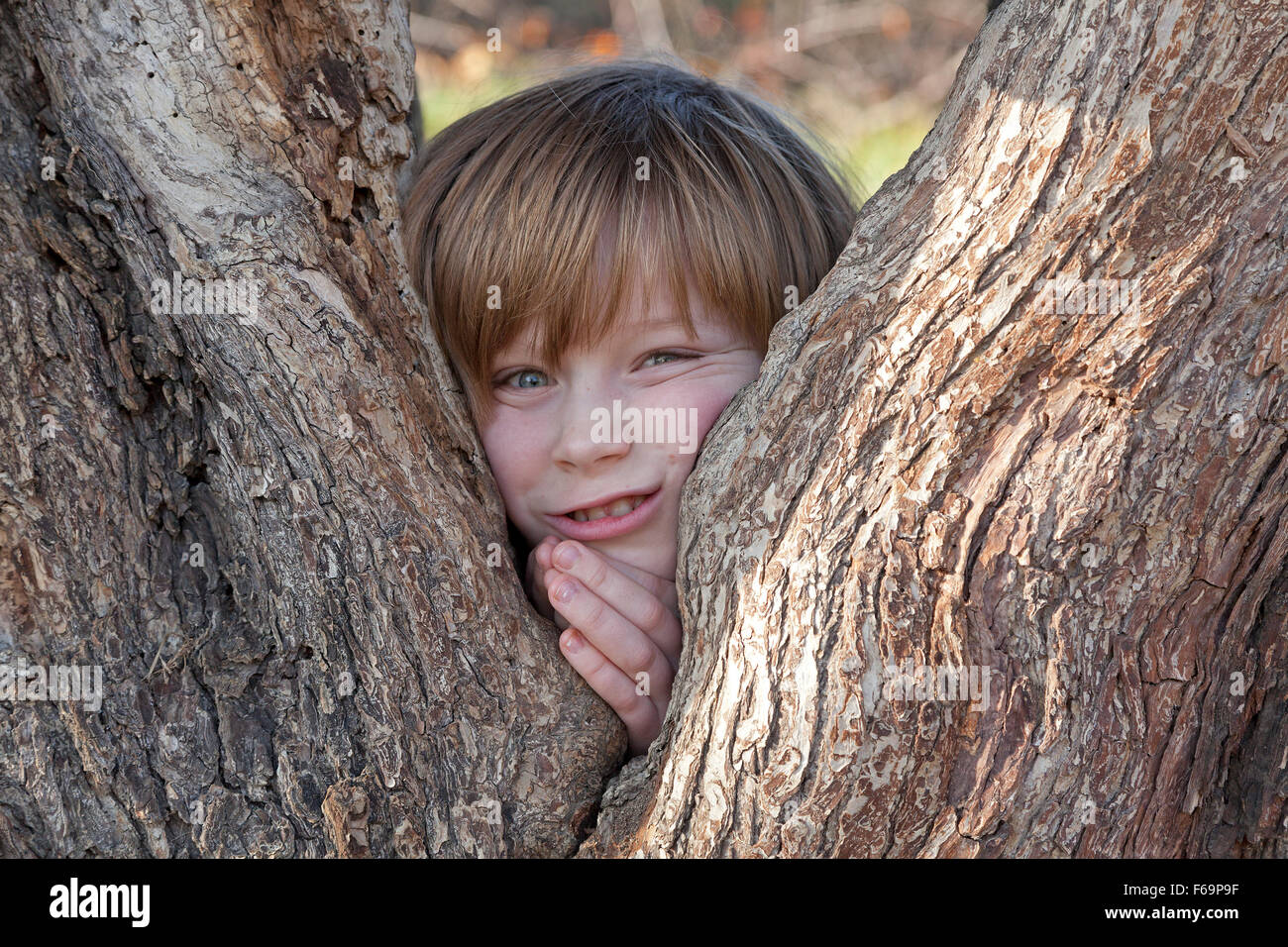 young boy trapped in a tree Stock Photo - Alamy