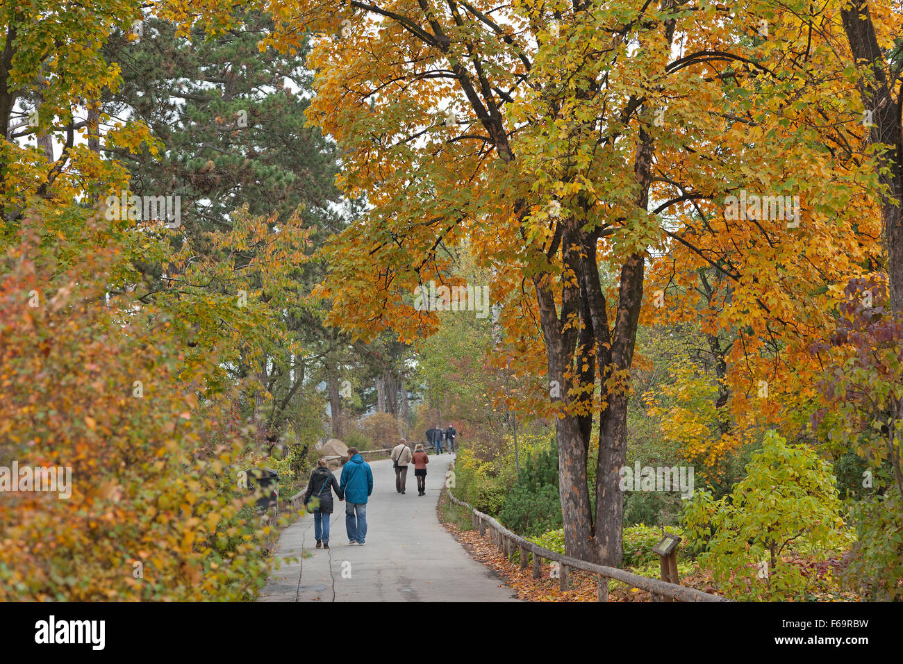 autumnal trees, zoo, Prague, Czech Republic Stock Photo - Alamy