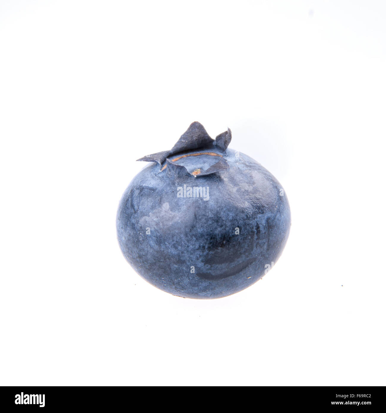 One blueberry isolated on white background Stock Photo - Alamy