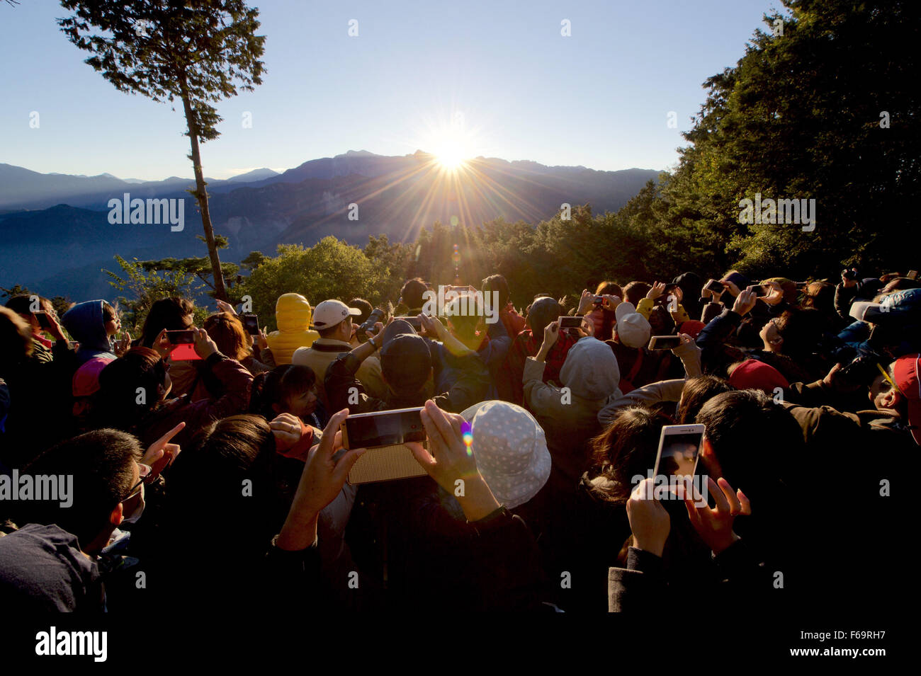 Ali Mountain, China's Taiwan. 15th Nov, 2015. Visitors take pictures of ...