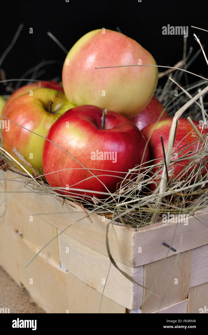 Hay bed hi-res stock photography and images - Alamy